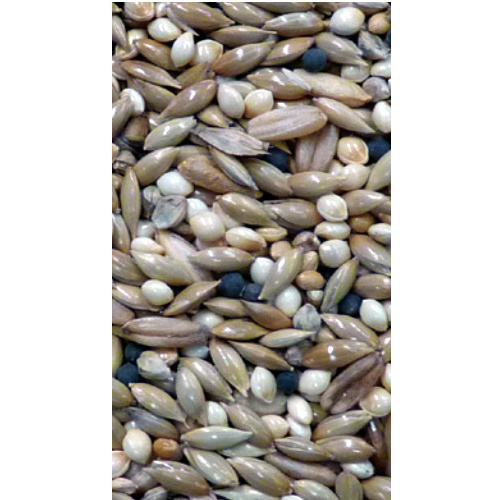 Avigrain Mung Beans 1kg