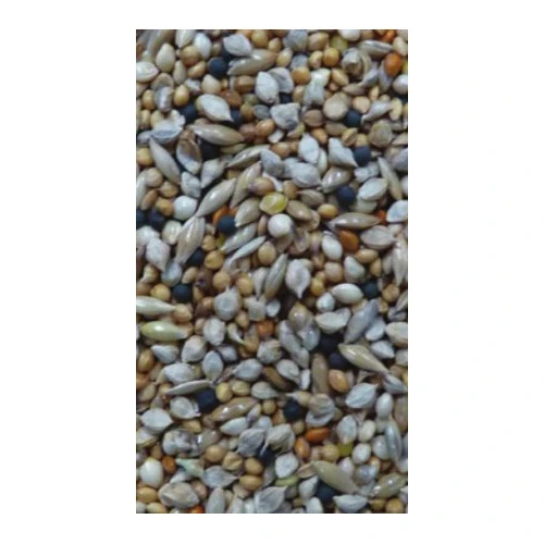 Avigrain Sprouting Mix 2.5kg